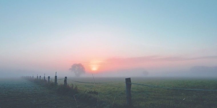 Join the Silent Fog Photo Contest and win Lensbaby Twist Optic Lens ...